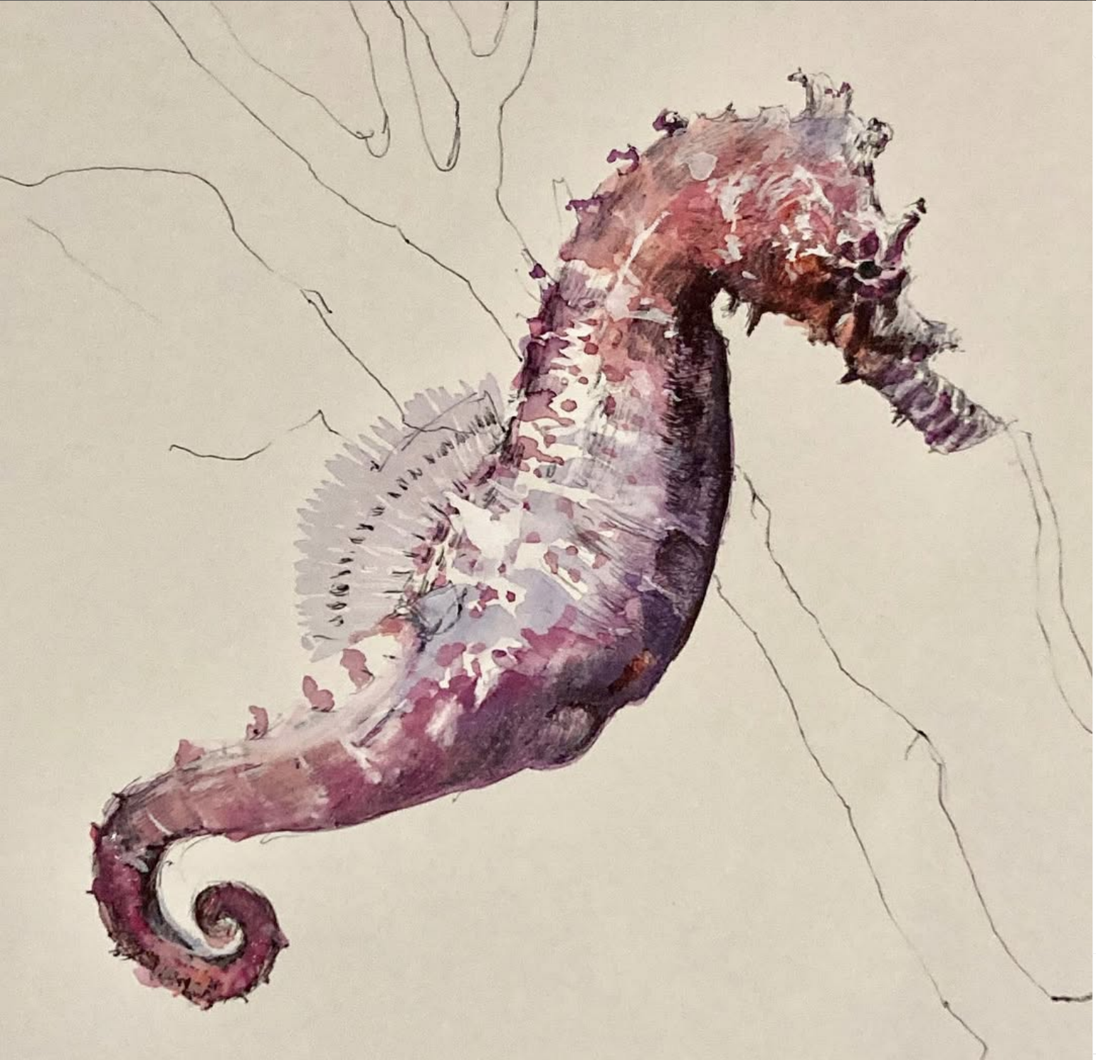 Still life using biro & water colour - 1 day course - Colne Road Studio